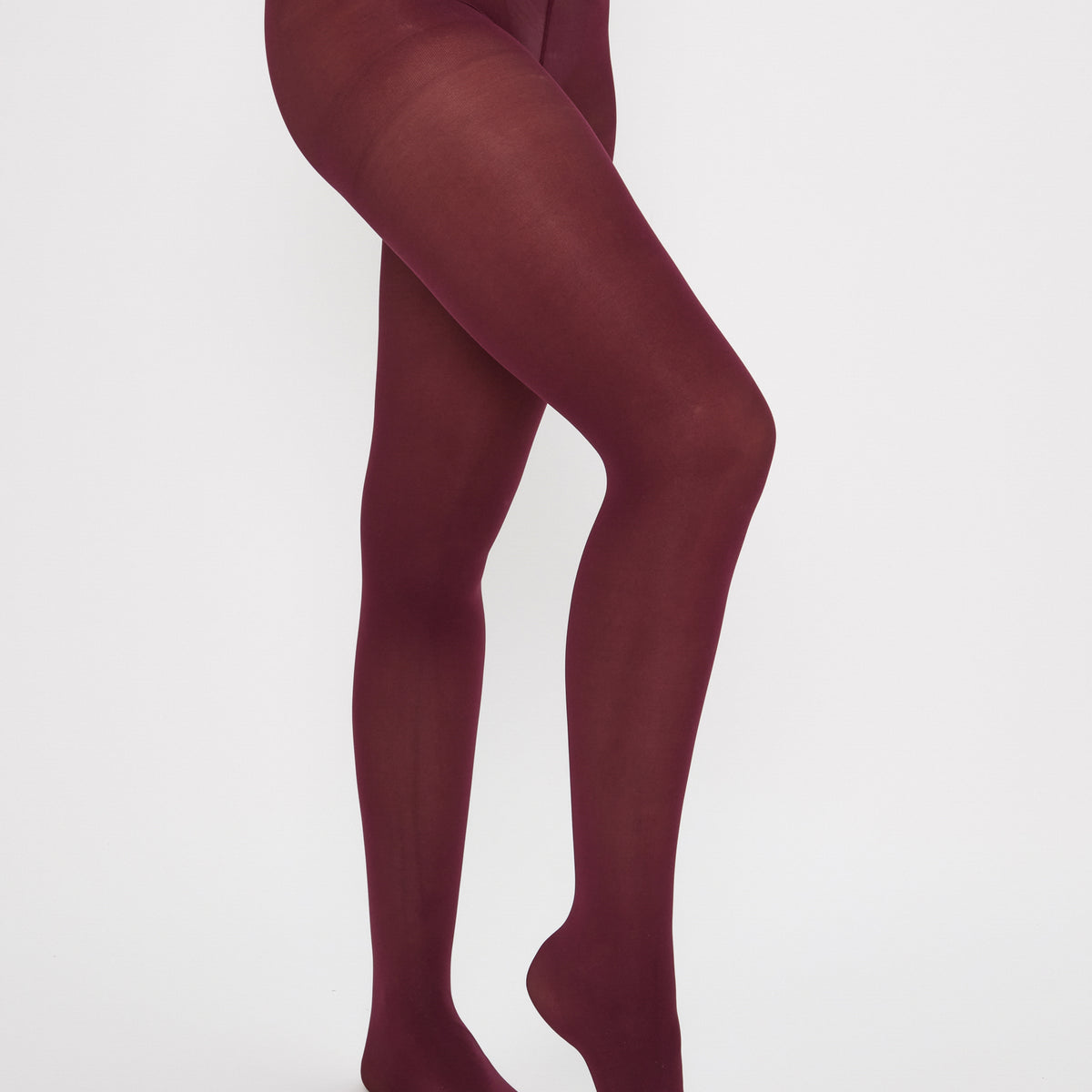 Women's Plain Tights in Burgundy | My Accessories London